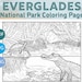 Everglades National Park Coloring Page, Printable Coloring Pages ...