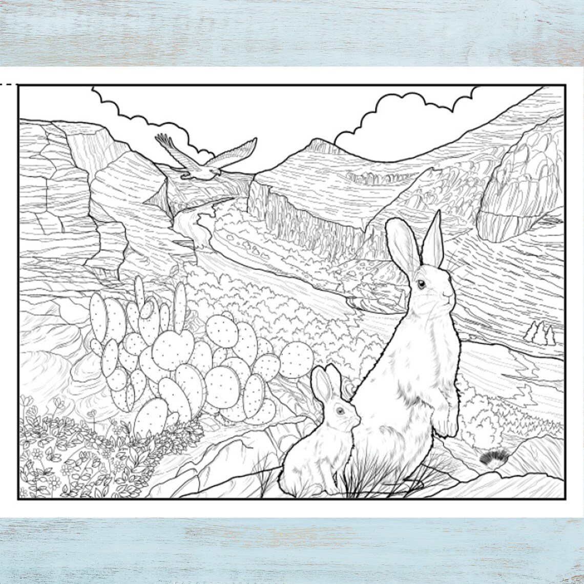 Big Bend National Park Coloring Page, Printable Coloring Pages, Instant ...