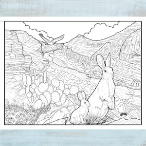 Big Bend National Park Coloring Page, Printable Coloring Pages, Instant ...