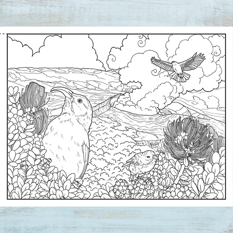 Hawaii Volcanoes National Park Coloring Page, Printable Coloring Pages ...