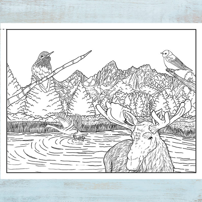 Grand Tetons National Park Coloring Page, Printable Coloring Pages ...