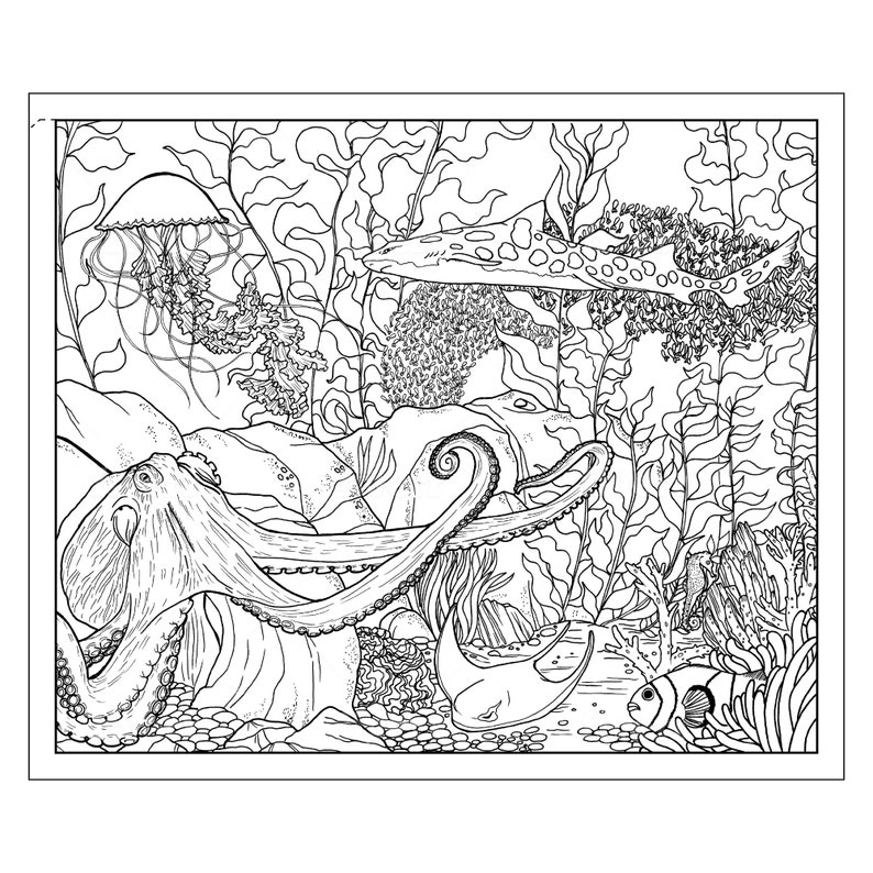 California Coloring Book Activity Book Adult Coloring - Etsy