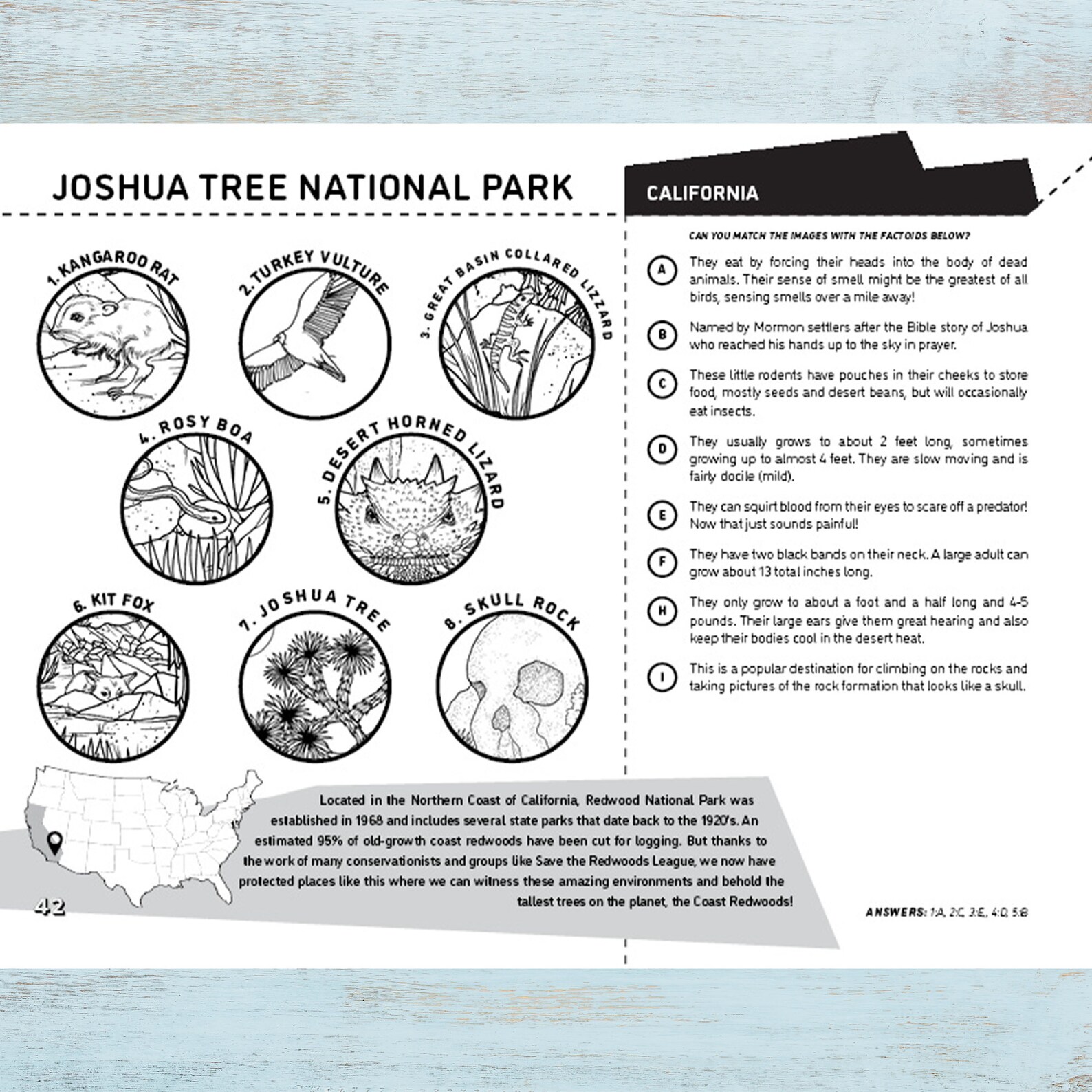 Joshua Tree National Park Coloring Page, Printable Coloring Pages ...