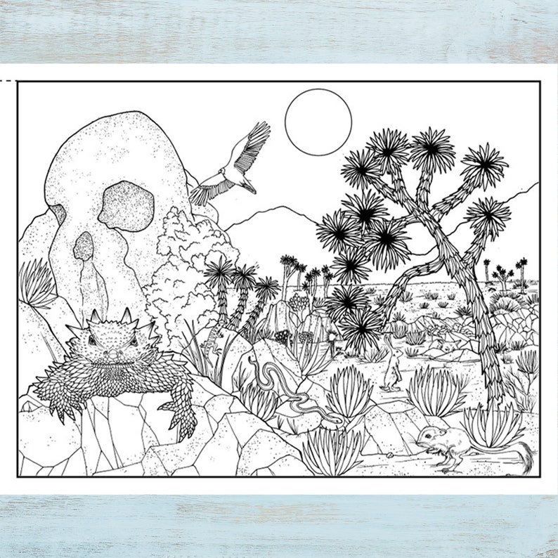 Joshua Tree National Park Coloring Page, Printable Coloring Pages ...