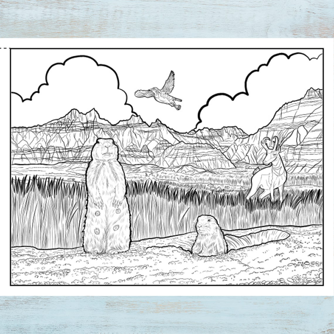 Badlands National Park Coloring Page, Printable Coloring Pages, Instant ...