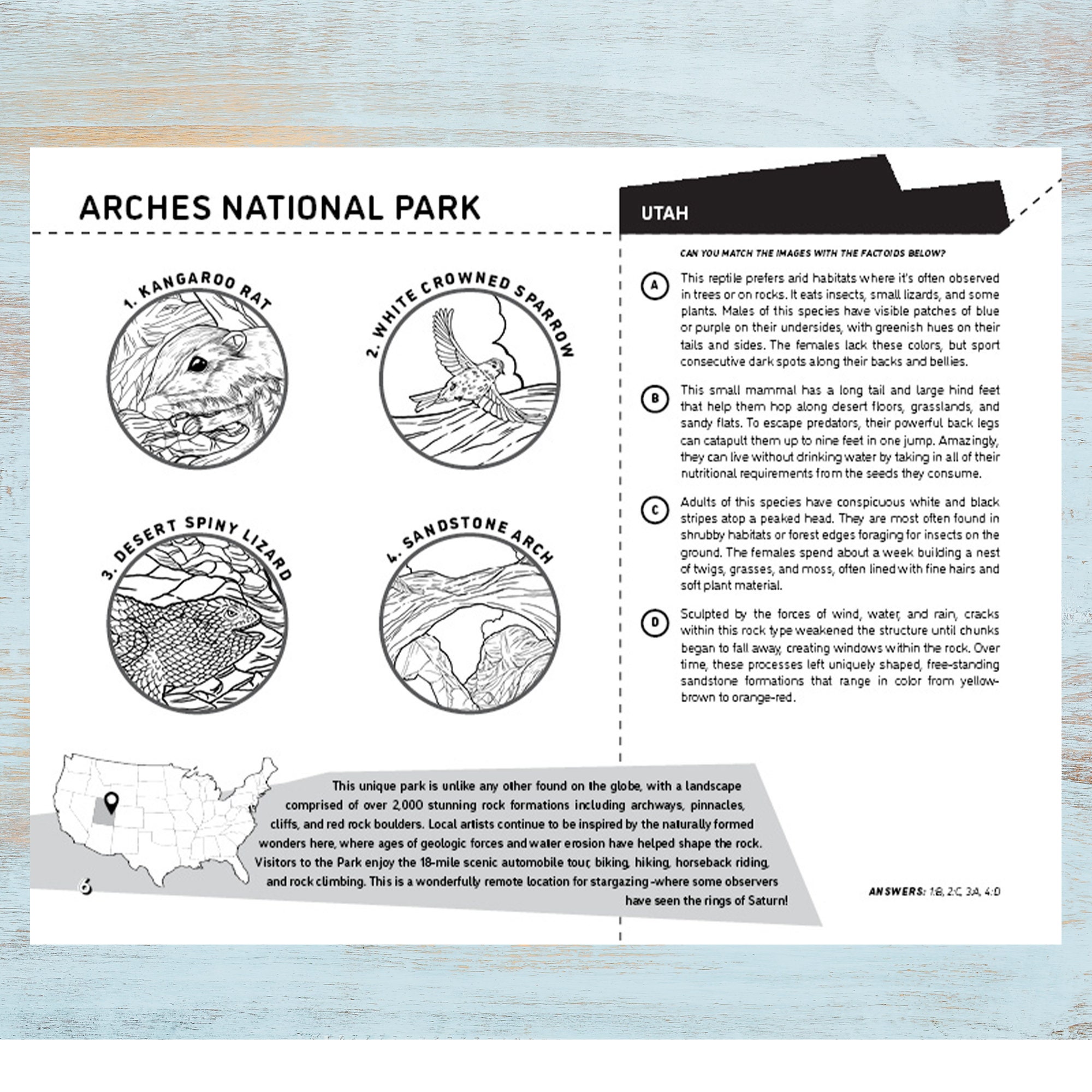 Arches National Park Coloring Page, Printable Coloring Pages, Instant ...
