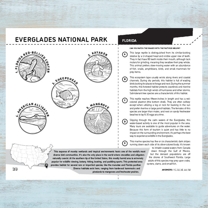 Everglades National Park Coloring Page, Printable Coloring Pages ...