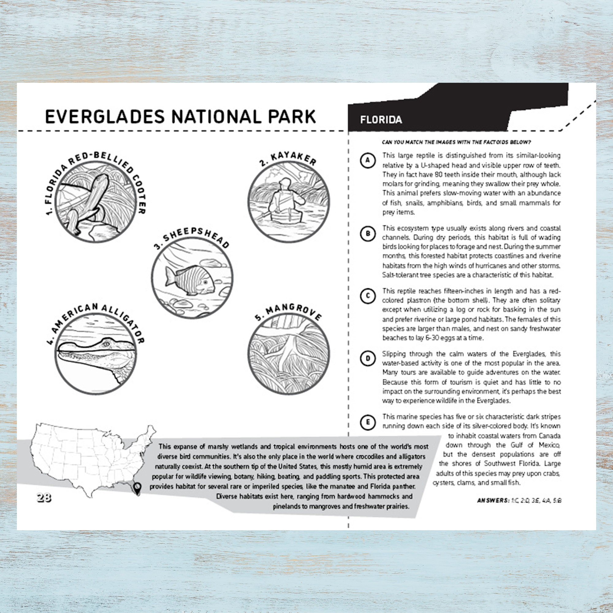 Everglades National Park Coloring Page, Printable Coloring Pages ...