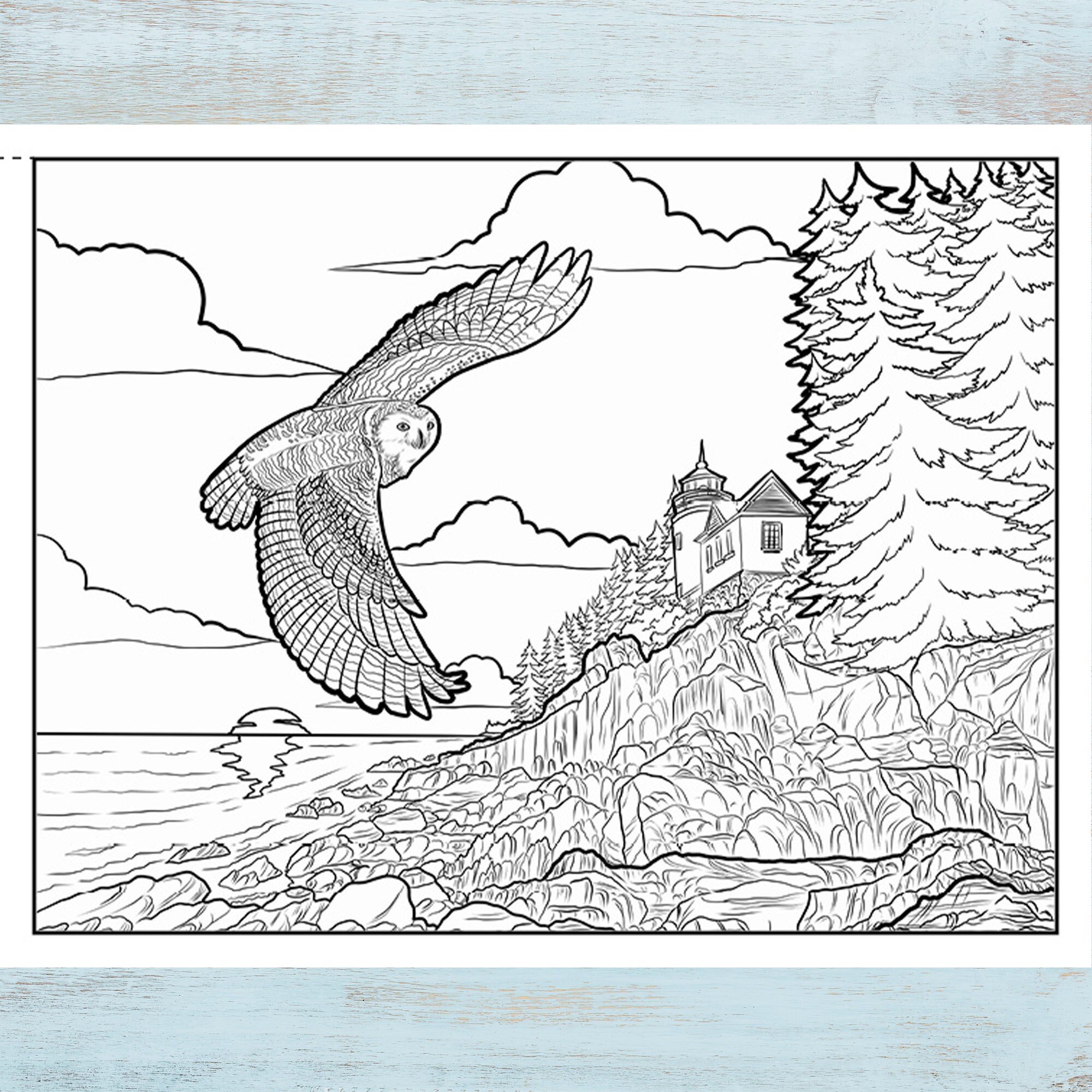 Acadia National Park Coloring Page, Printable Coloring Pages, Instant ...