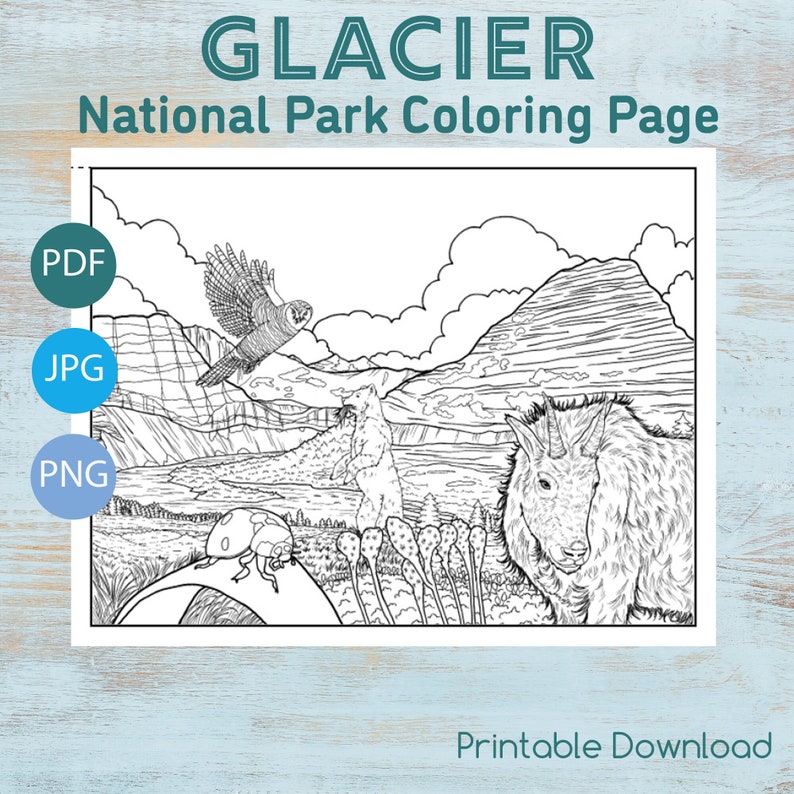 Glacier National Park Coloring Page, Printable Coloring Pages, Instant ...