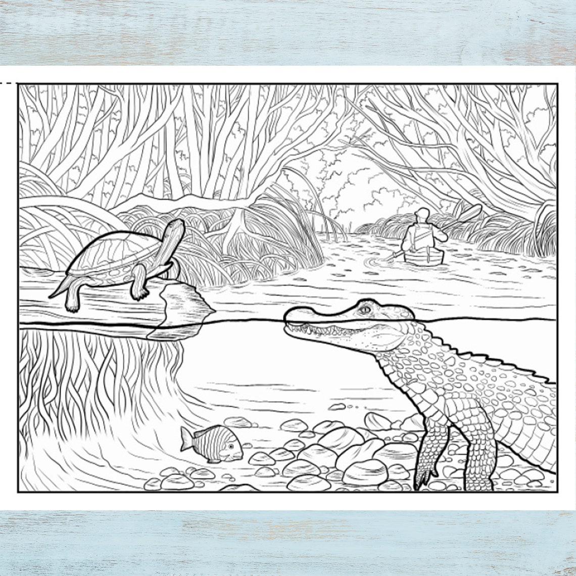 Everglades National Park Coloring Page, Printable Coloring Pages ...