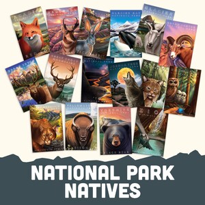 National Park Natives Postcard Set | National Park Cards | Travel ...