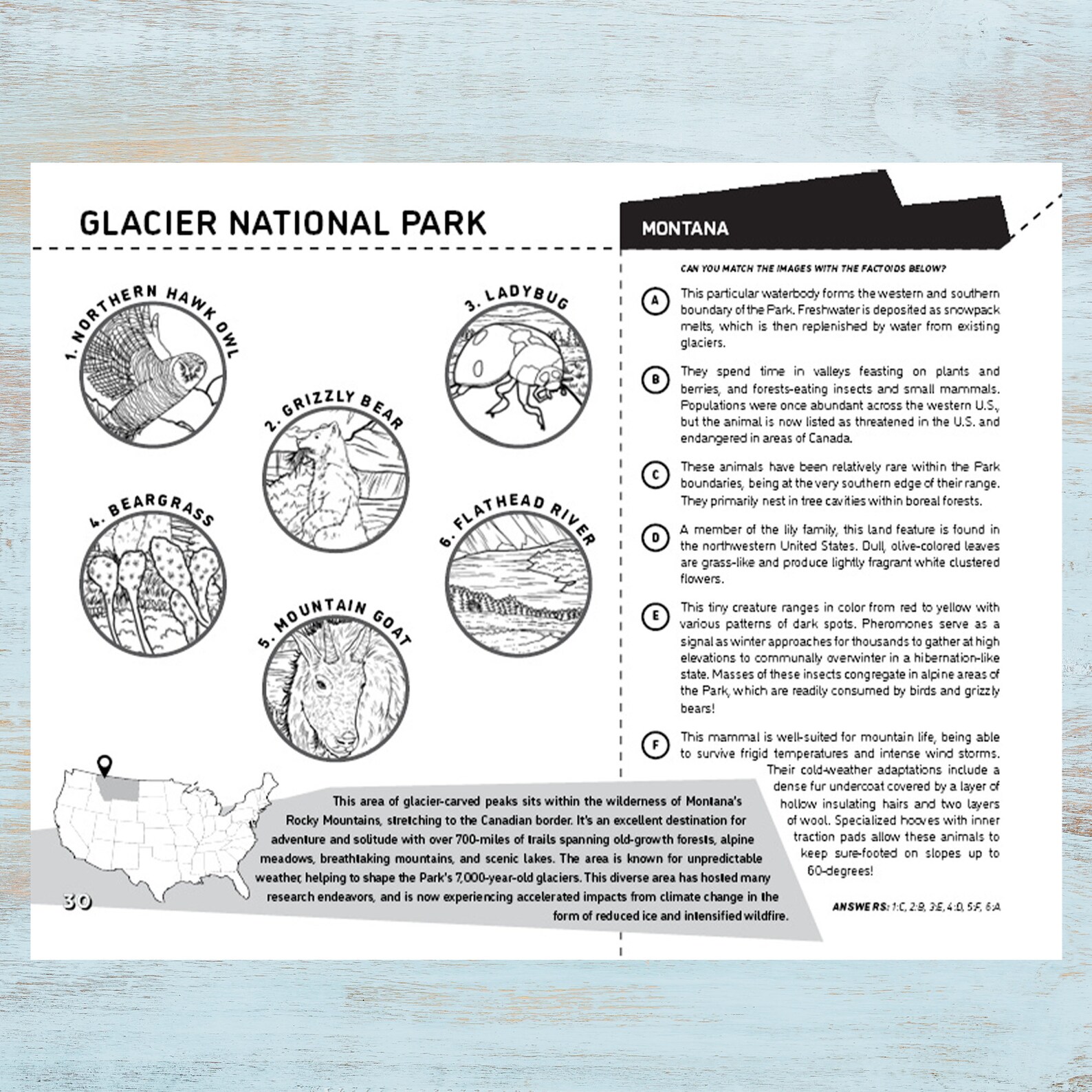 Glacier National Park Coloring Page, Printable Coloring Pages, Instant ...