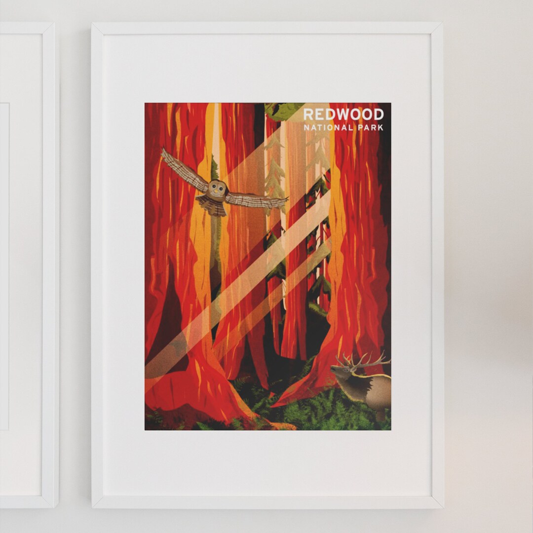 Redwood Poster National Park Poster Redwood Forest Print Owl Print USA ...