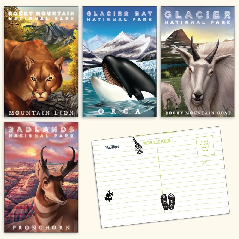 National Park Natives Postcard Set National Park Cards - Etsy