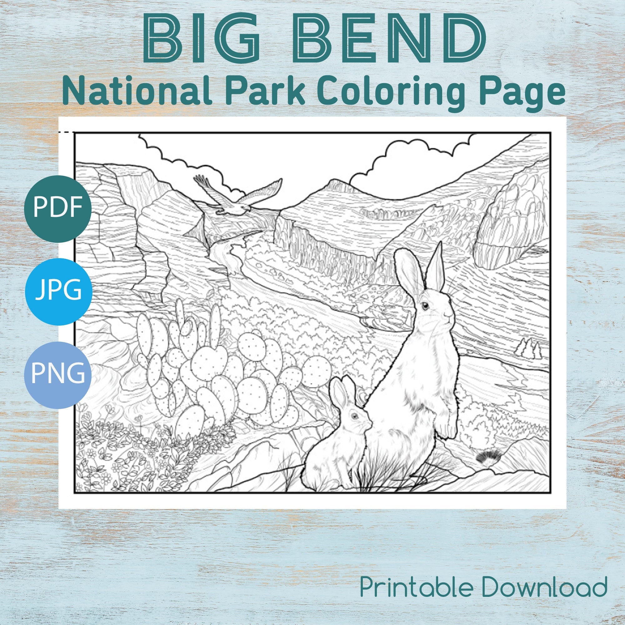 Big Bend National Park Coloring Page, Printable Coloring Pages, Instant ...