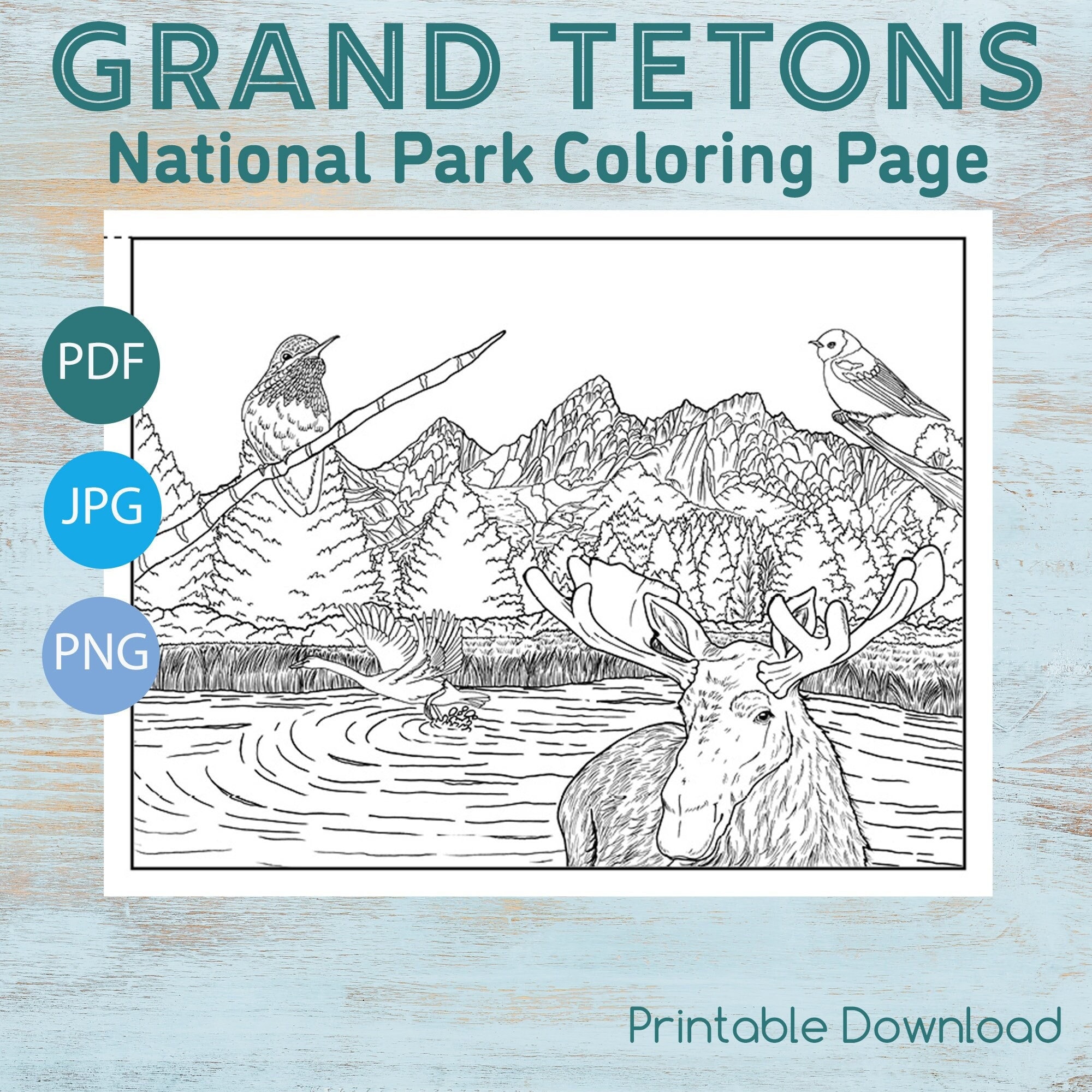 Grand Tetons National Park Coloring Page, Printable Coloring Pages ...