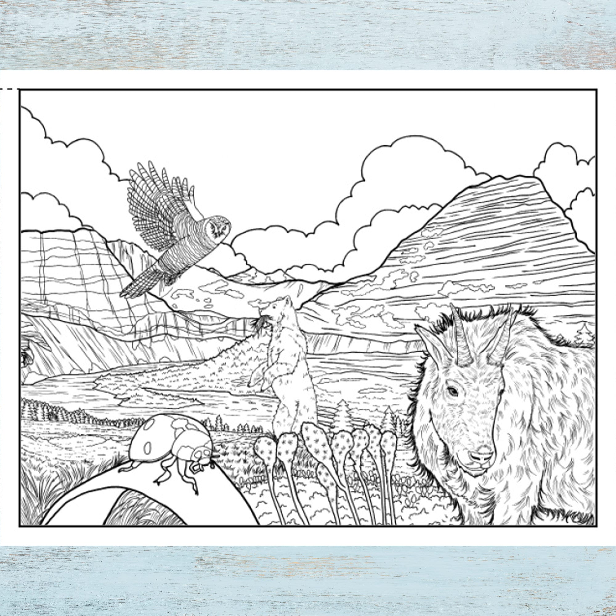 Glacier National Park Coloring Page, Printable Coloring Pages, Instant ...