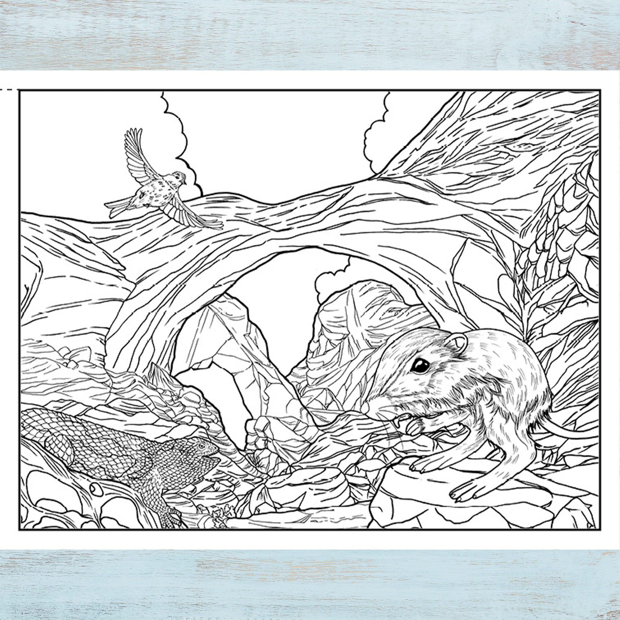 Arches National Park Coloring Page, Printable Coloring Pages, Instant ...