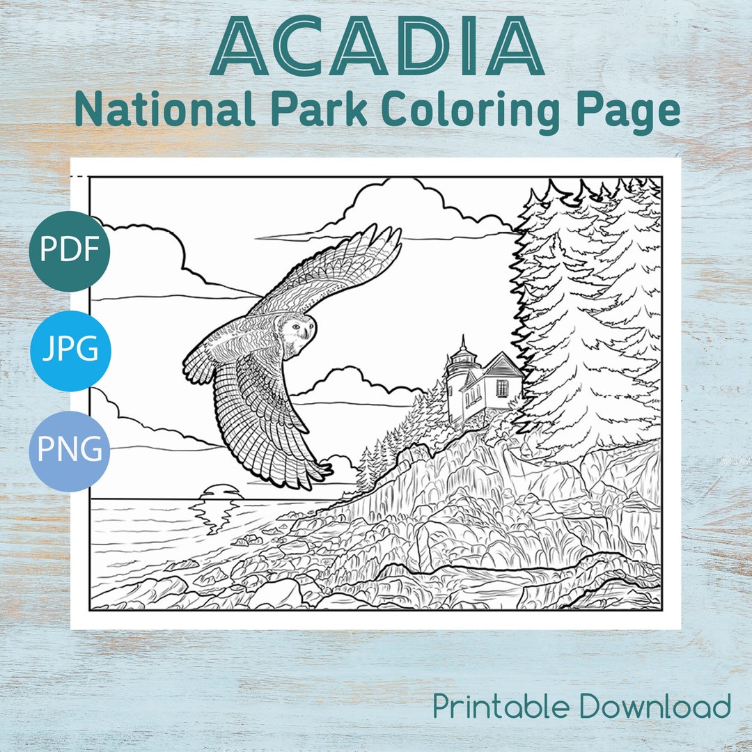 Acadia National Park Coloring Page, Printable Coloring Pages, Instant ...