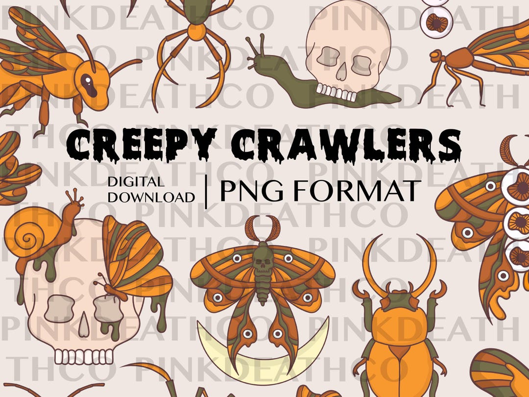 Creepy Crawlers Clipart Bundle Hand-drawn 24 PNG Files: Skulls ...