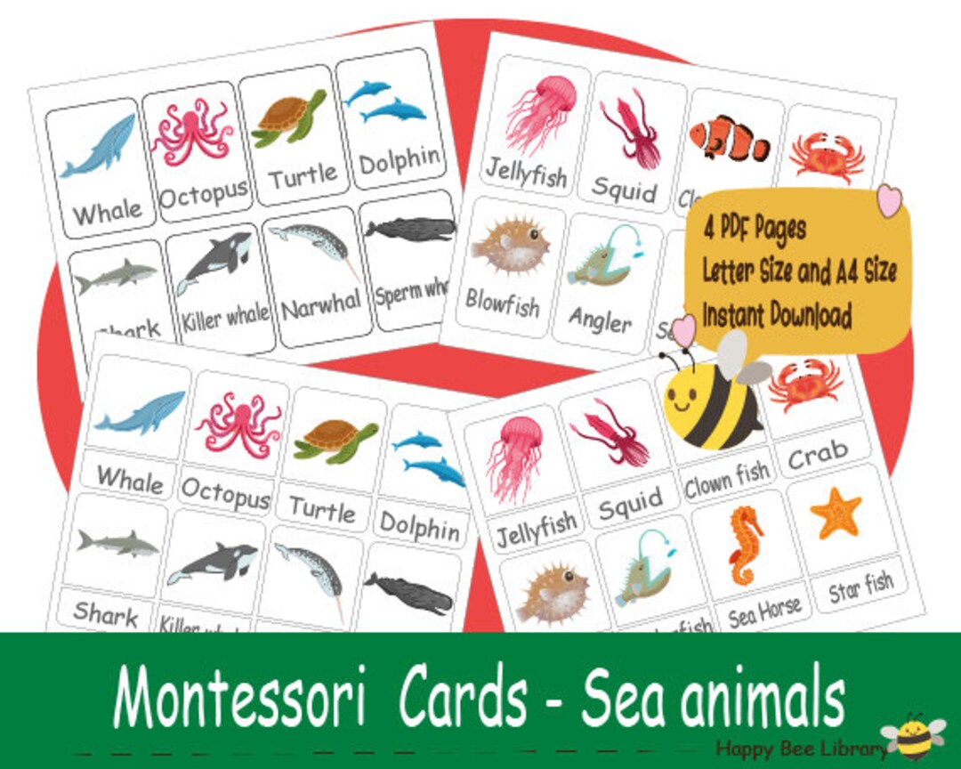 Toddler Flash Cards Sea Animals Cards Montessori Flash Cards ...