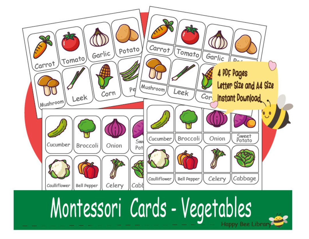 Montessori Cards,printable Flash Cards,printable 3 Parts Cards ...