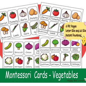 Montessori Cards,printable Flash Cards,printable 3 Parts Cards ...