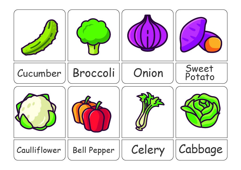 Montessori Cards,printable Flash Cards,printable 3 Parts Cards ...