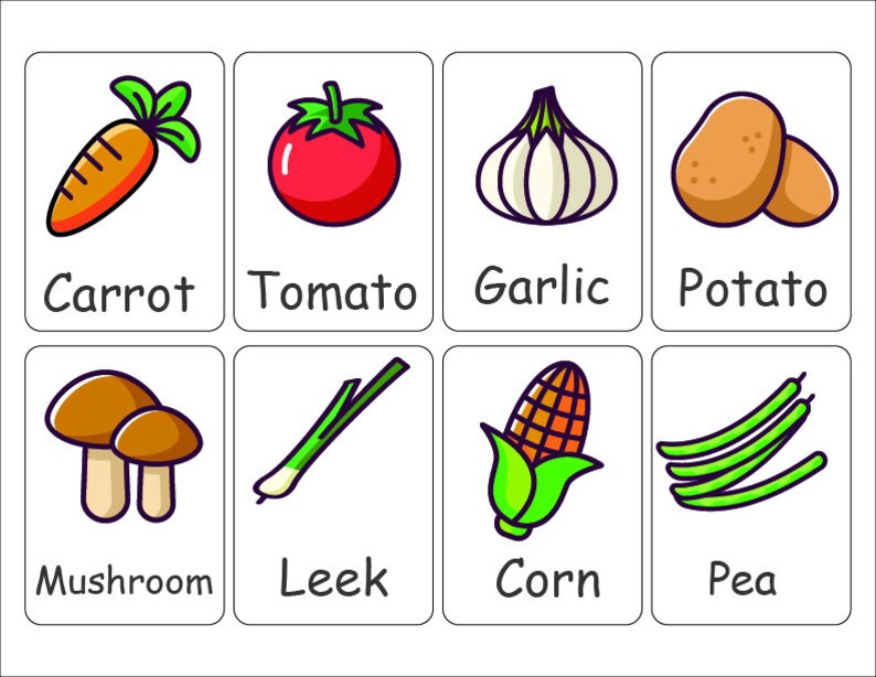 Montessori Cards,printable Flash Cards,printable 3 Parts Cards ...