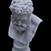 Bust of Hercules - Etsy