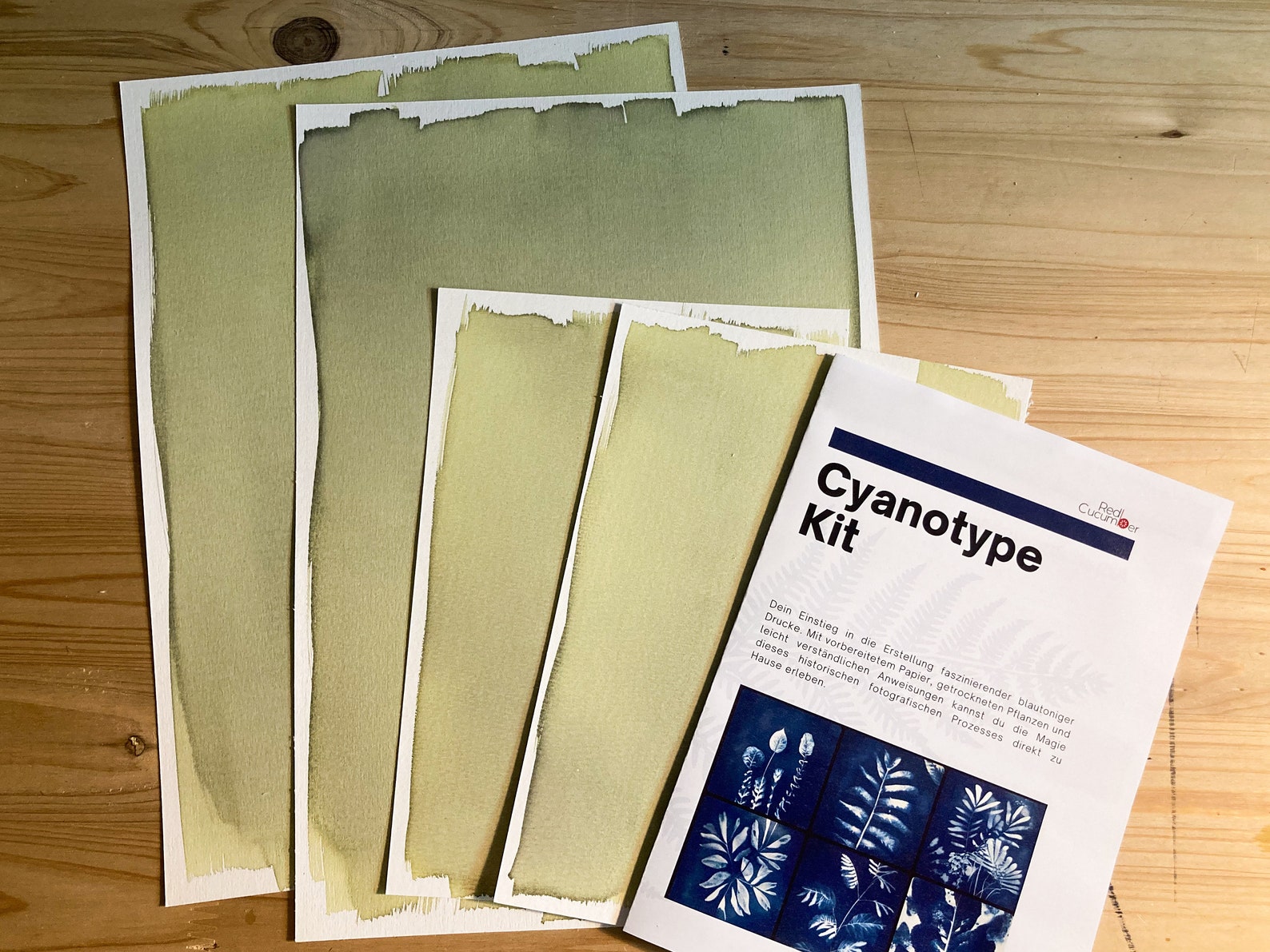 Complete DIY Cyanotype Kit for Sun Printing - Includes Pre-prepared ...