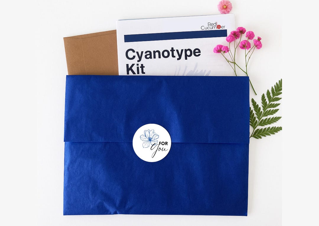 Ready-to-gift Complete DIY Cyanotype Kit for Sun Printing - Includes ...
