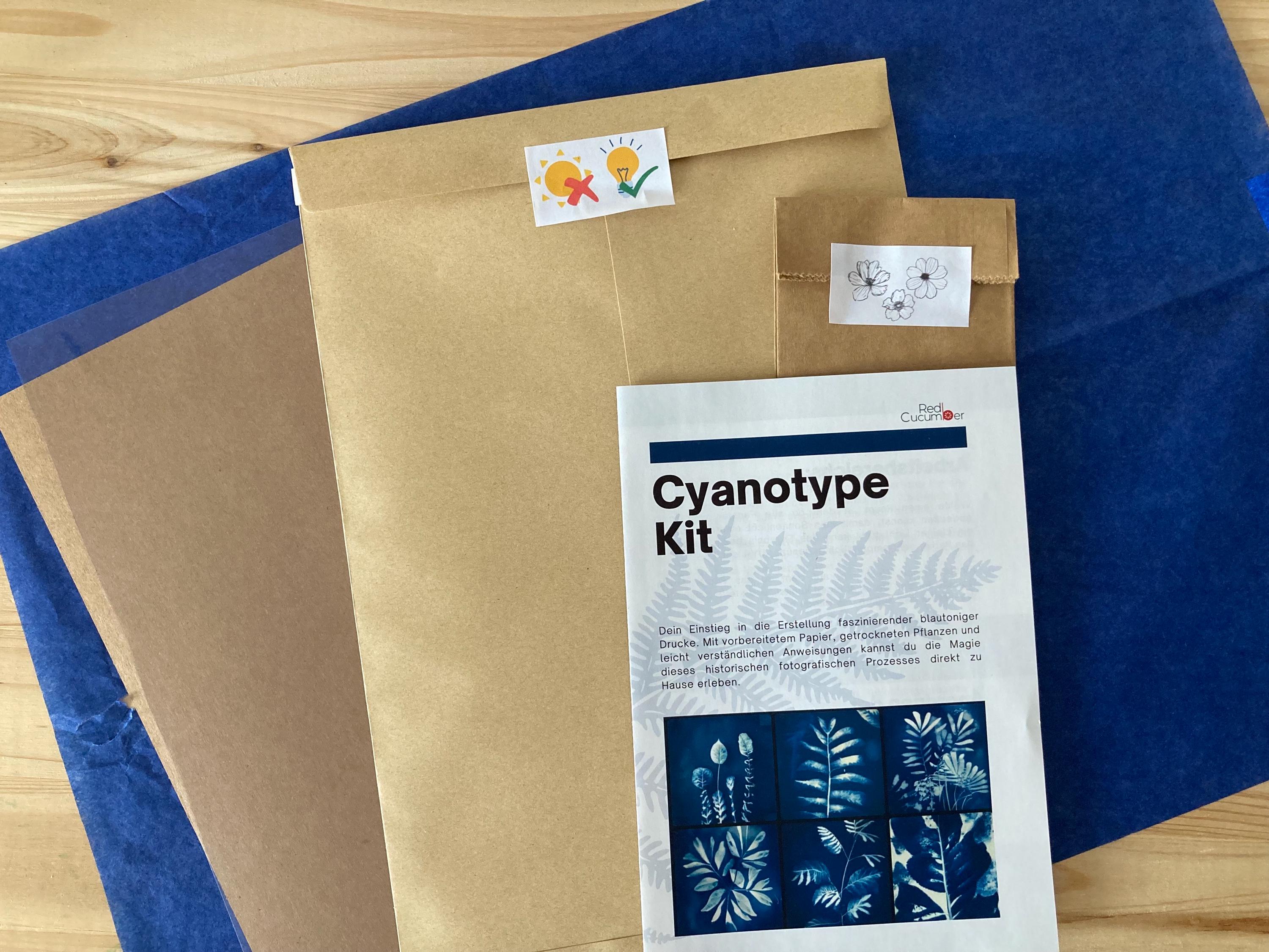 Complete DIY Cyanotype Kit for Sun Printing - Includes Pre-prepared ...