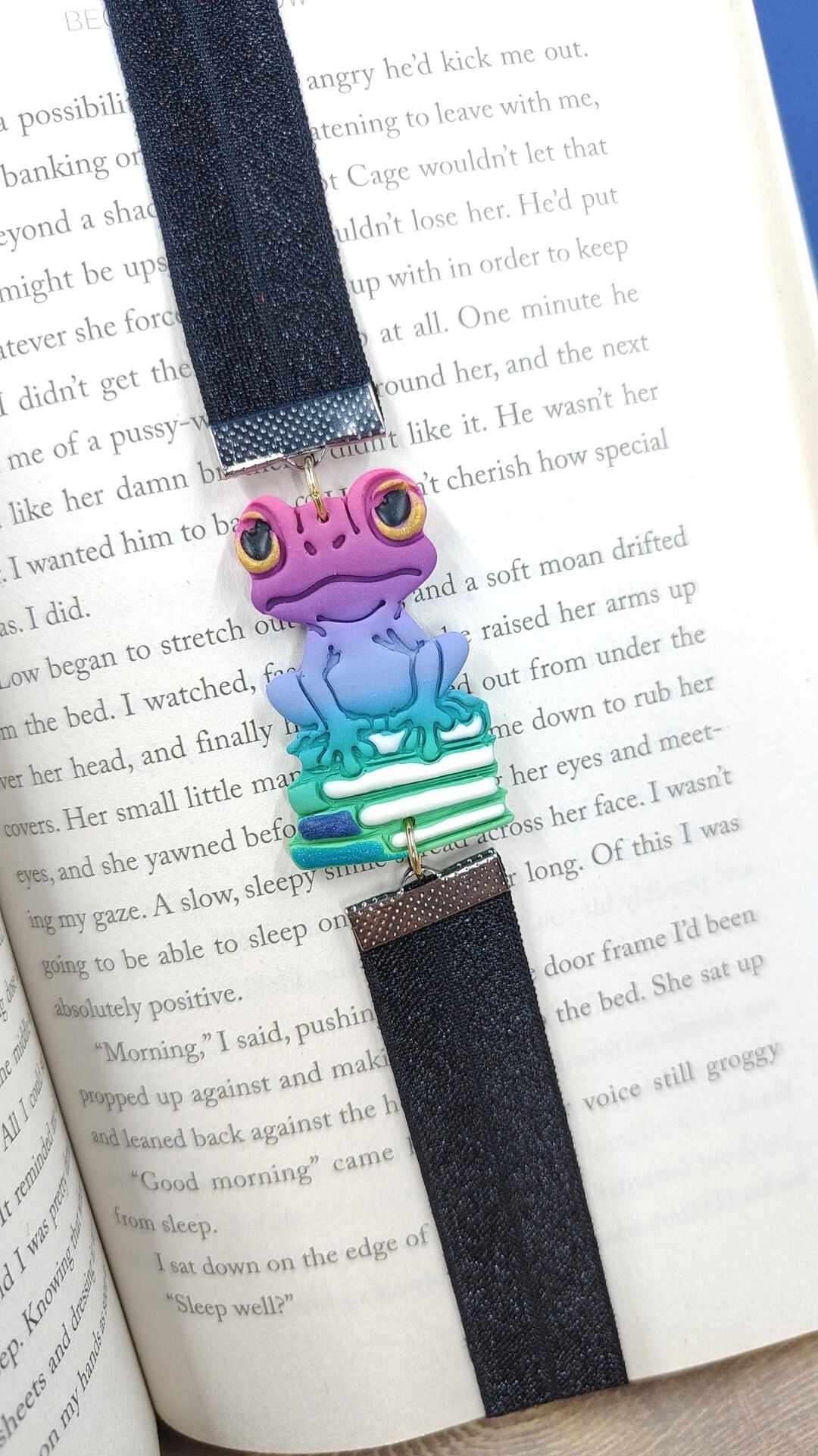 Rainbow Frog Polymer Clay and Elastic Deluxe Bookmark | Journal Marker ...