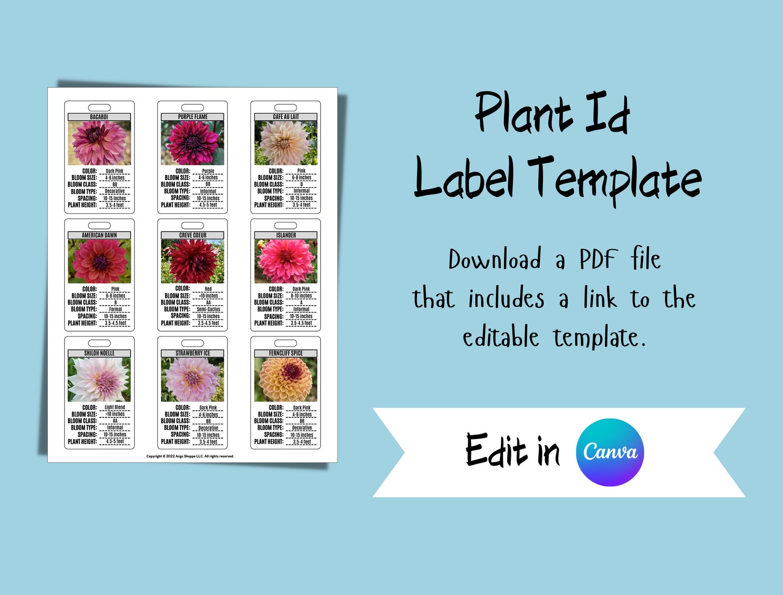 Editable Dahlia Plant Id Label Canva Template (digital Download ...