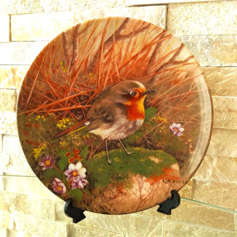 Robin Plates - Etsy UK