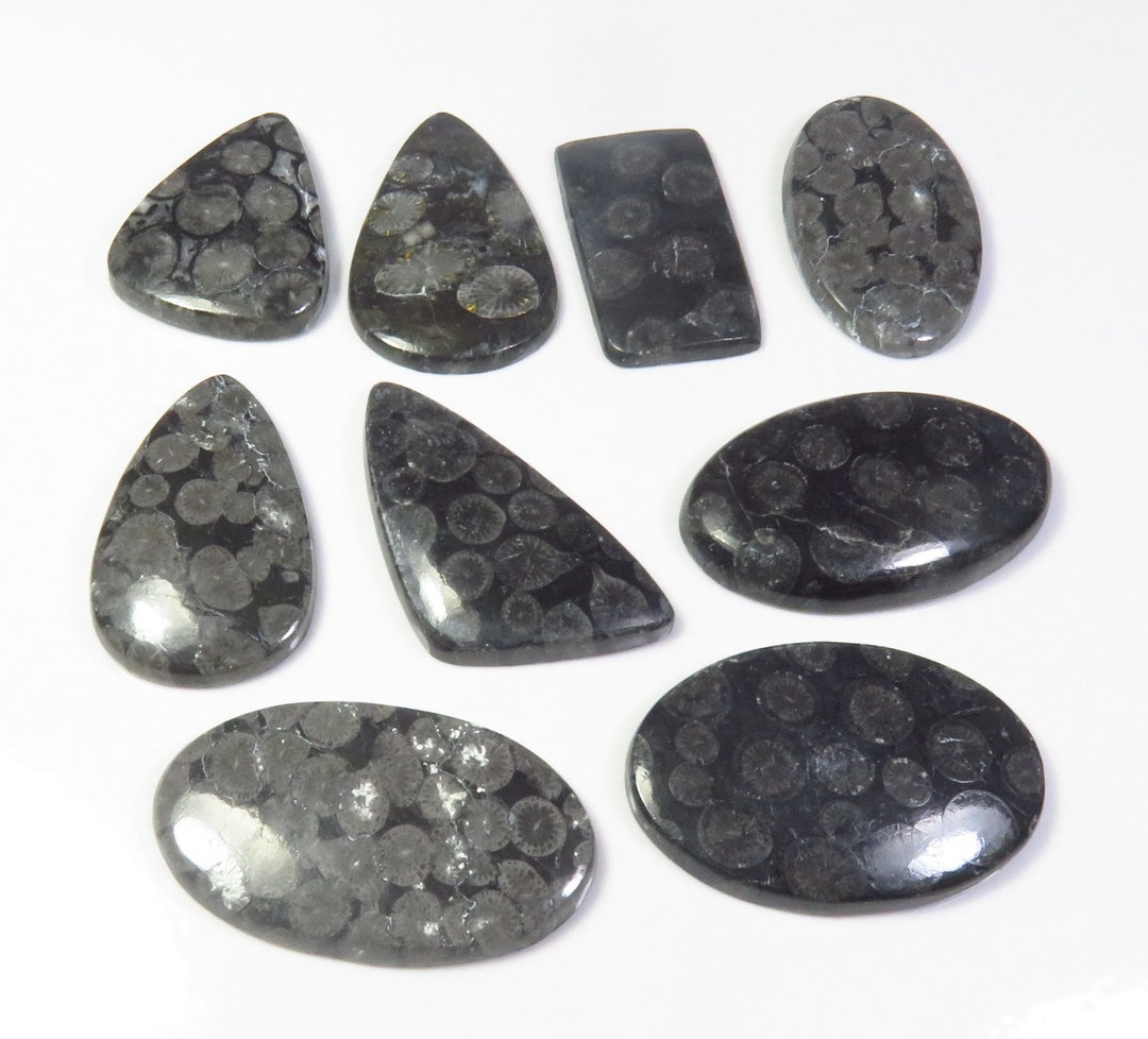 Natural Black Fossil Gemstone, 29-39 Mm, Handmade Polished Fossil ...