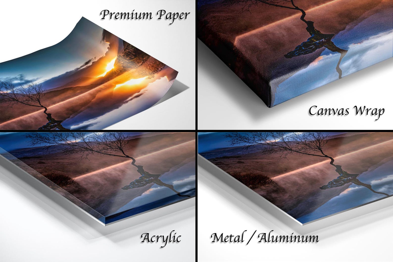 Inside the Weeping Willow Tree - Instant Download Includes 5 File Sizes ...