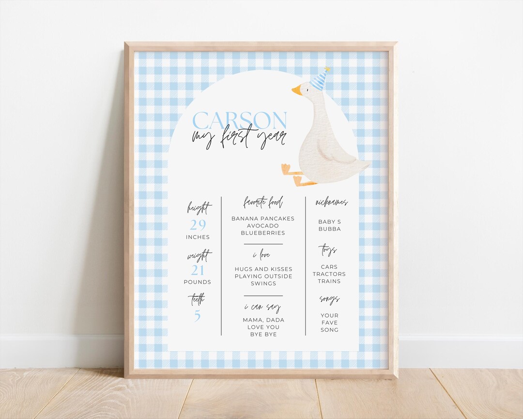 One Silly Goose Birthday Milestone Poster Blue Plaid Goose Theme First ...