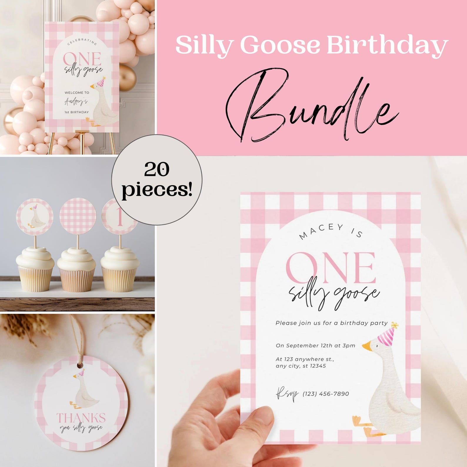 One Silly Goose Birthday Bundle Pink Goose Theme 1st Birthday Decor ...