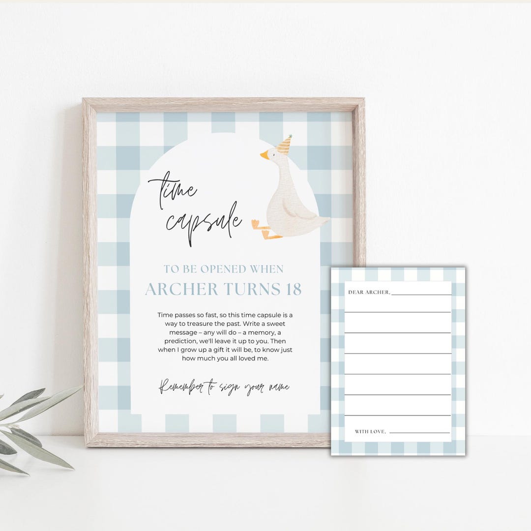 One Silly Goose Time Capsule Blue Goose 1st Birthday Ideas One Silly ...