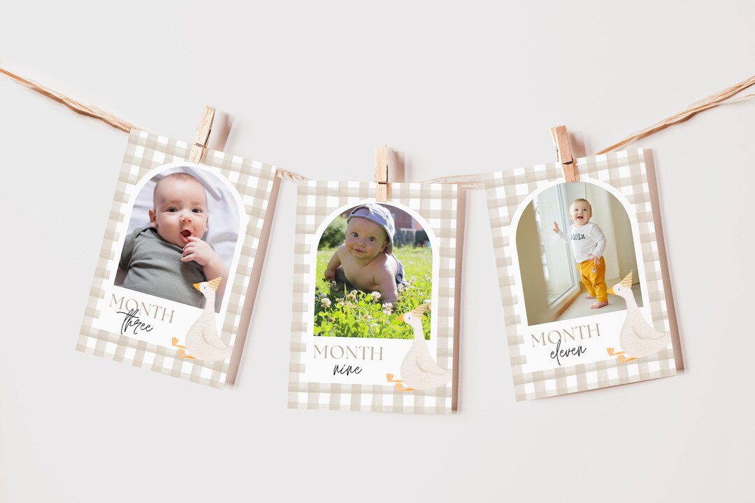Editable One Silly Goose Birthday Photo Banner Gender Neutral Goose 1st ...