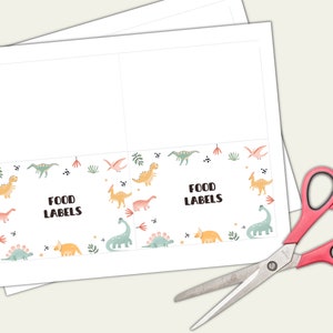 Editable Girl Dinosaur Food Labels, Instant Download, Pink Dinosaur ...
