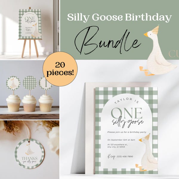 Silly Goose Birthday Party - Etsy