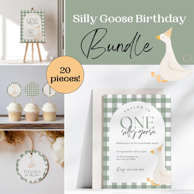 Silly Goose Birthday Party - Etsy