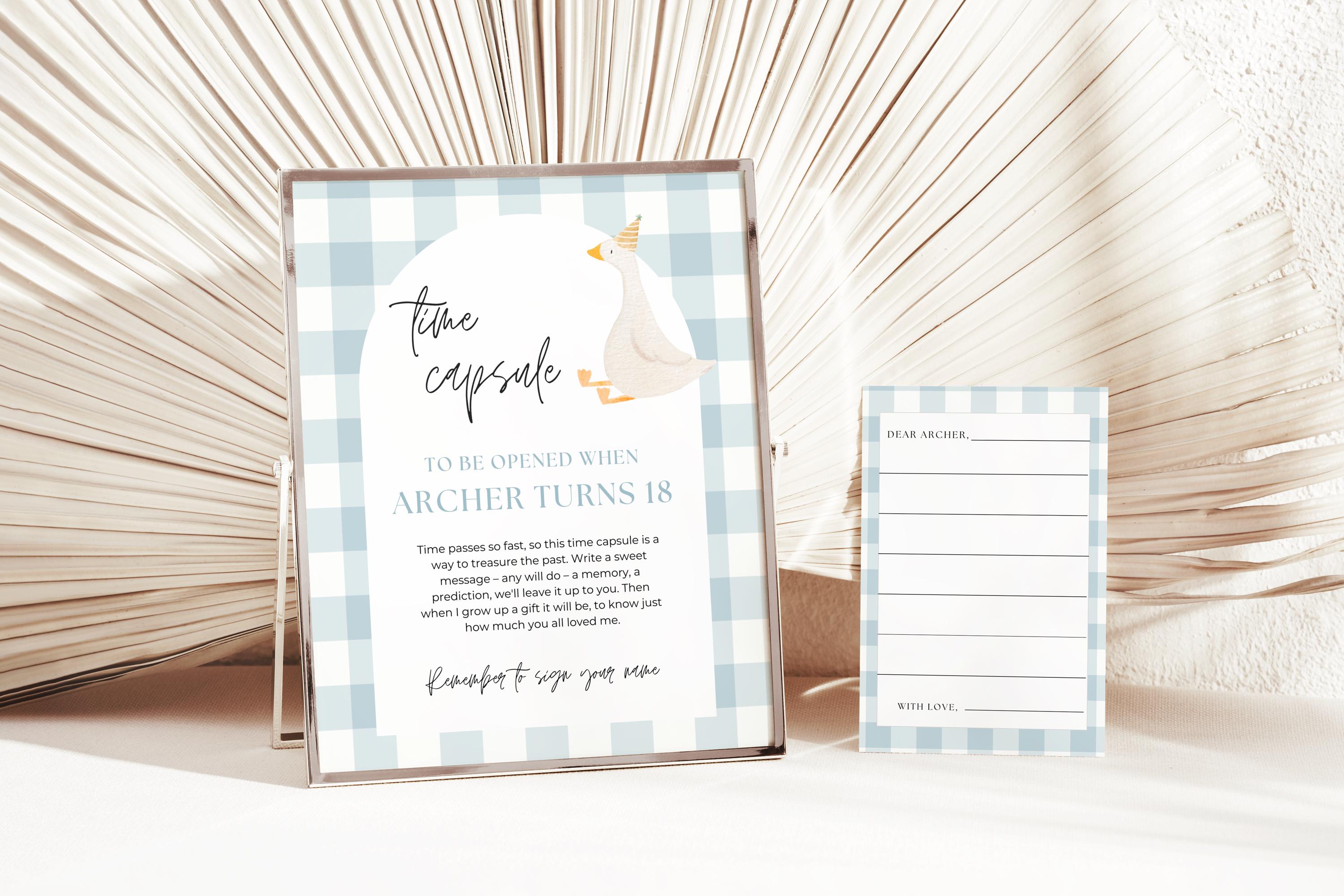 One Silly Goose Time Capsule Blue Goose 1st Birthday Ideas One Silly ...