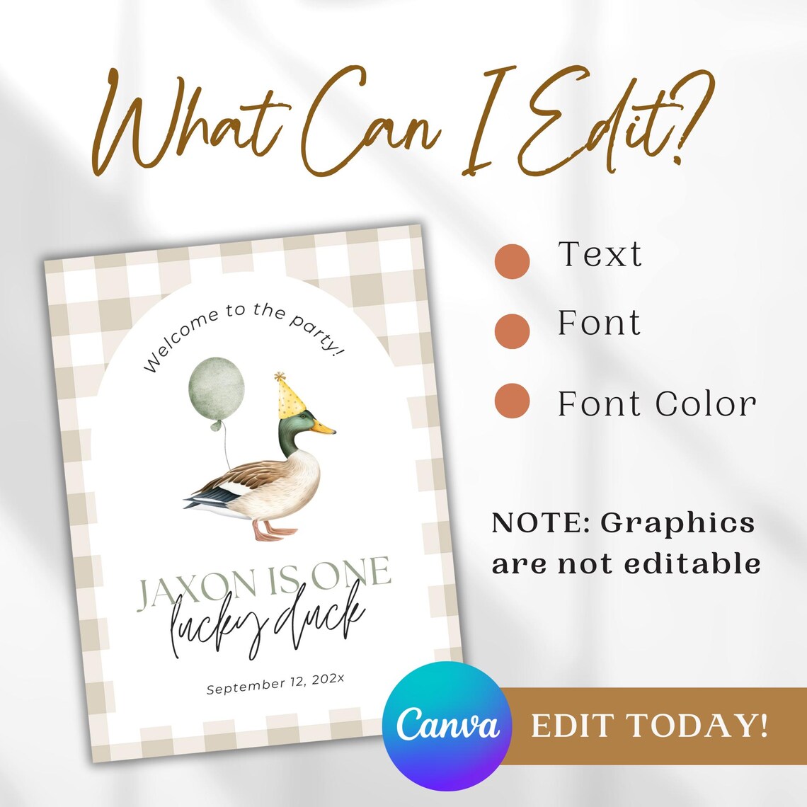 One Lucky Duck Birthday Welcome Sign Template Duck Theme 1st Birthday ...