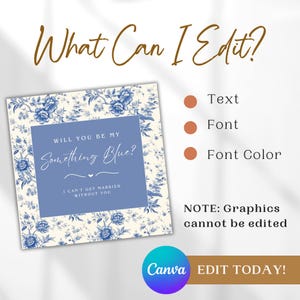 Editable Something Blue Crew Proposal Template Toile Blue Crew Proposal ...