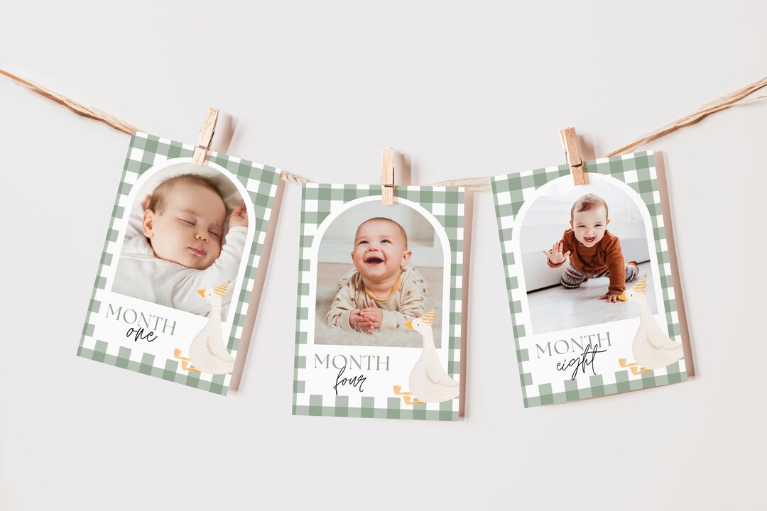 Editable One Silly Goose Birthday Photo Banner in Sage Green Goose 1st ...